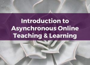Course Cards - Online Network of Educators